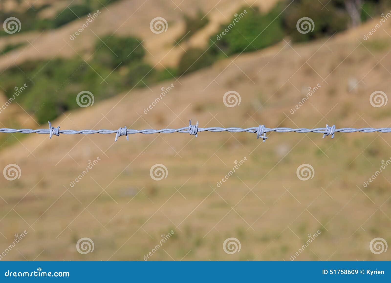New Barbed Wire in Front of a Natural Area Stock Image - Image of ...