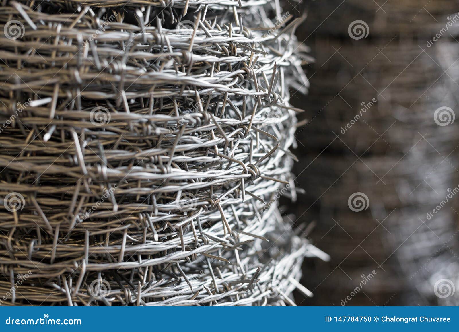 New Barbed wire stock photo. Image of cage, line, focus - 147784750