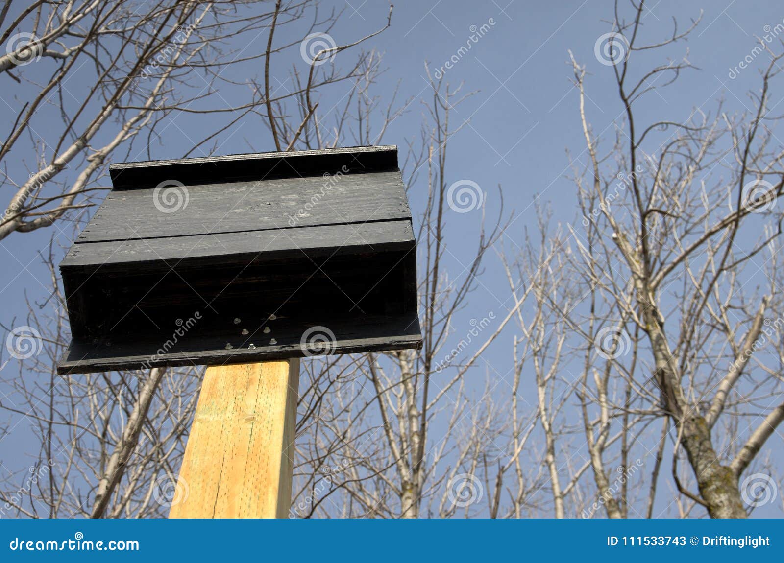 Bat House on Wood Post stock image. Image of branches - 111533743