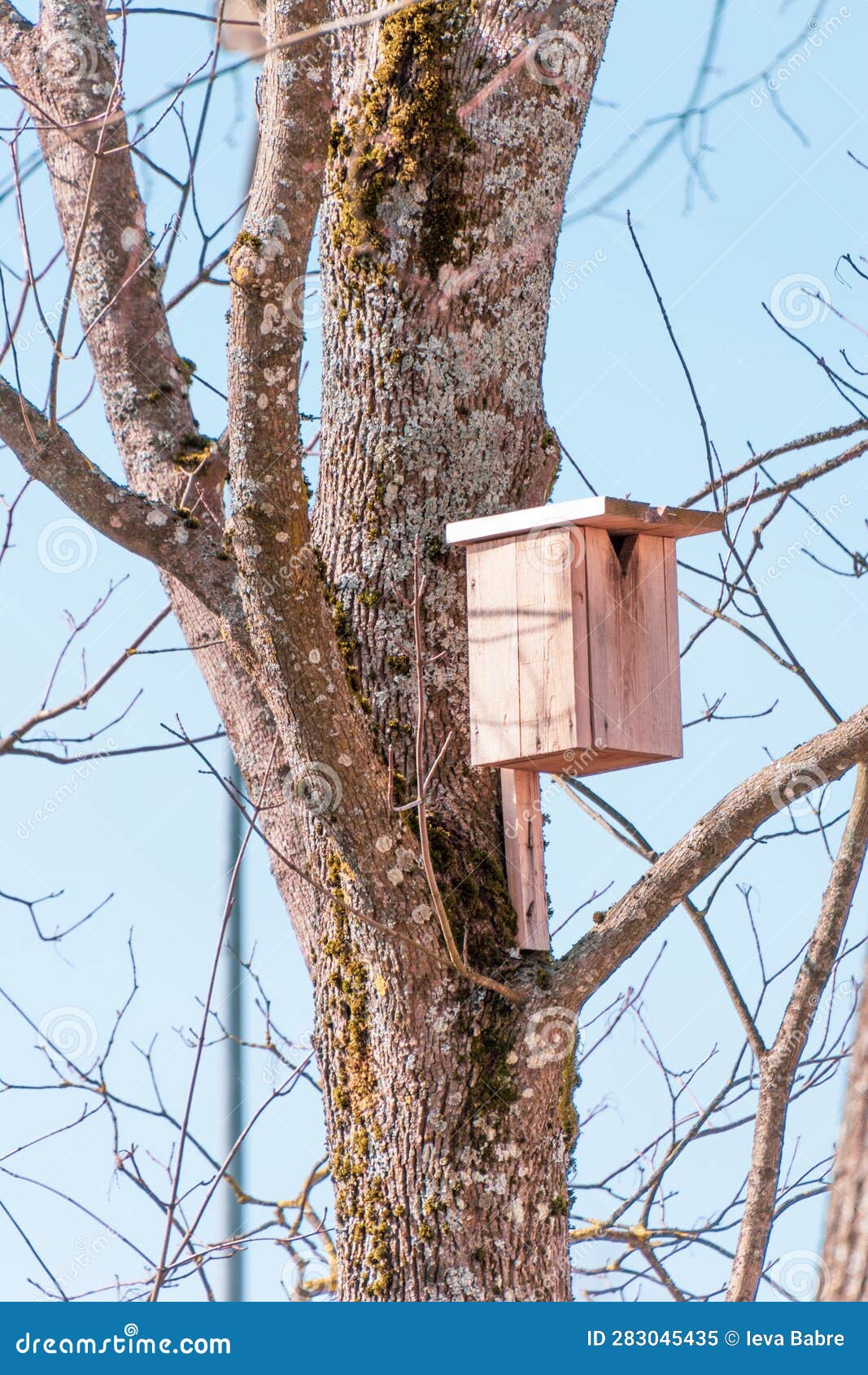 A New Bird House in a Tree, Bird House with Triangular Entrance Stock ...
