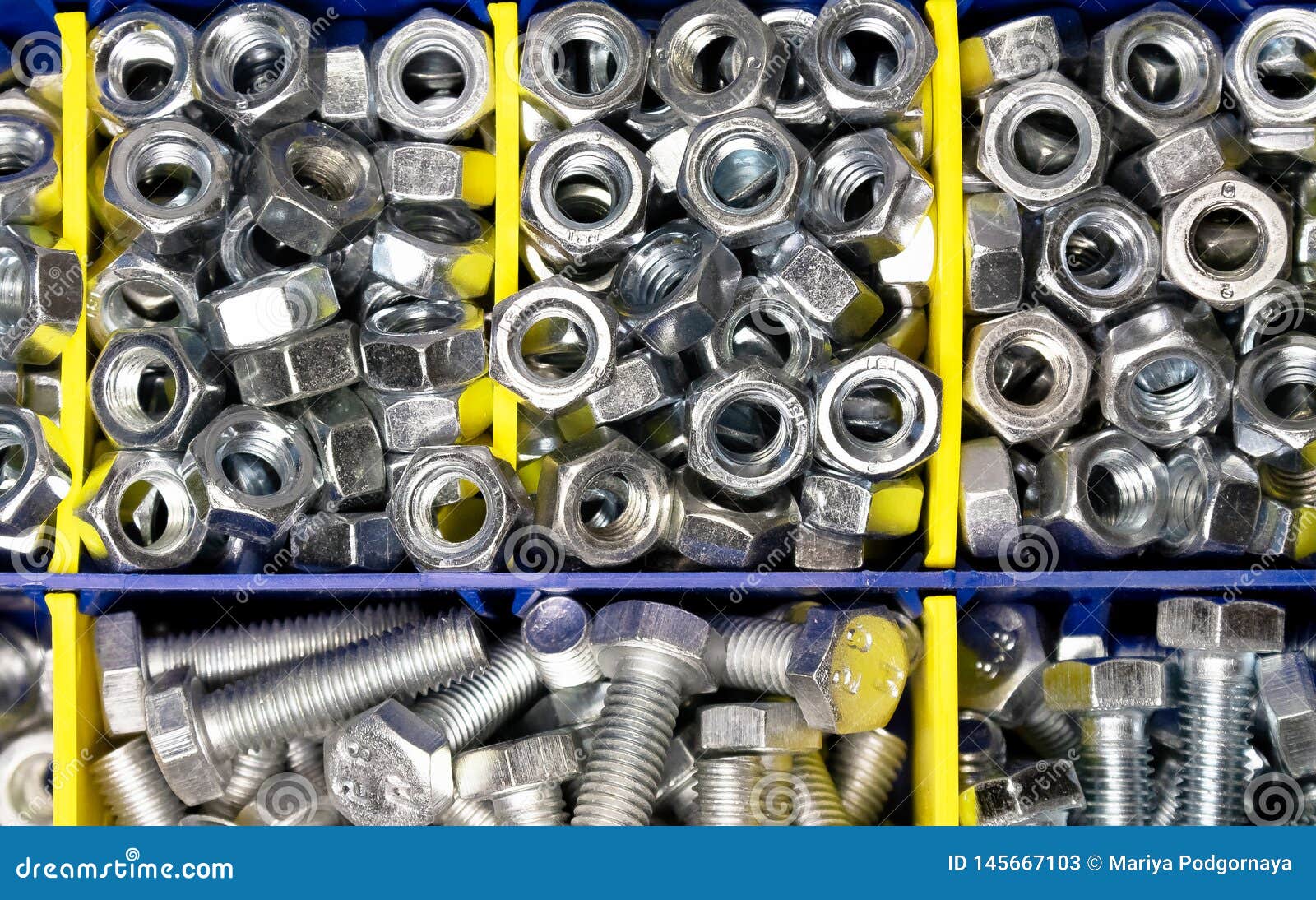 New Bolts and Nuts Sorted in a Container with Yellow, Blue Partitions ...