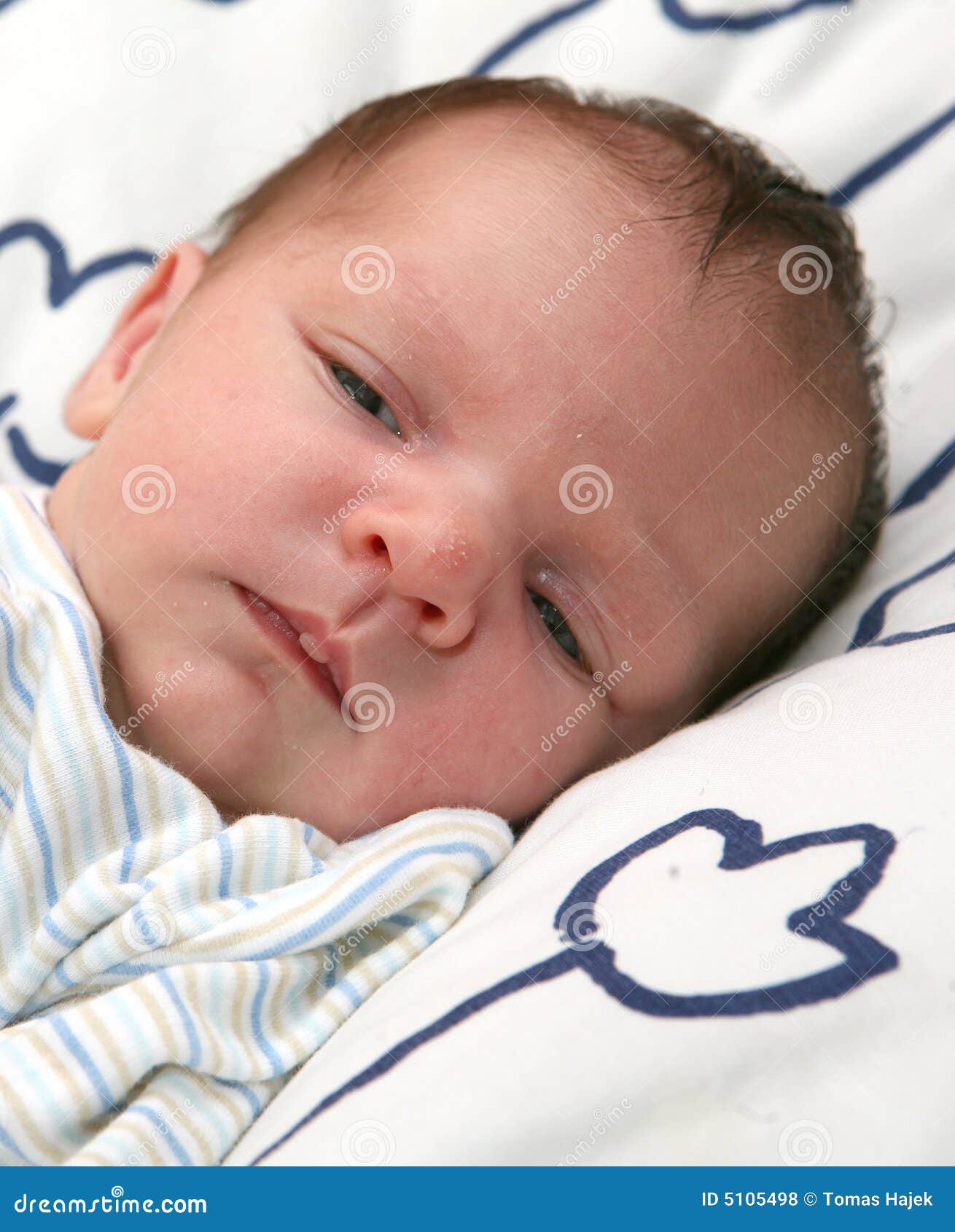 New born baby stock photo. Image of born, arms, sleep - 5105498