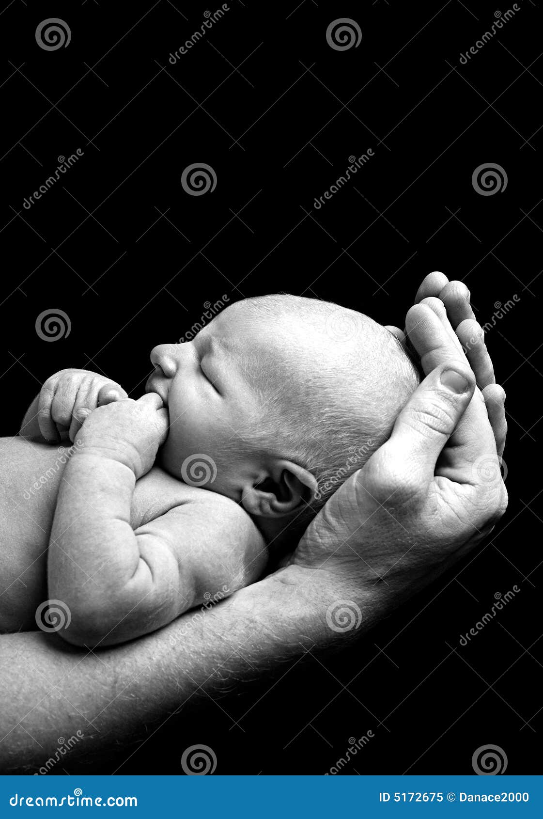New born baby boy stock image. Image of copyspace, human - 5172675