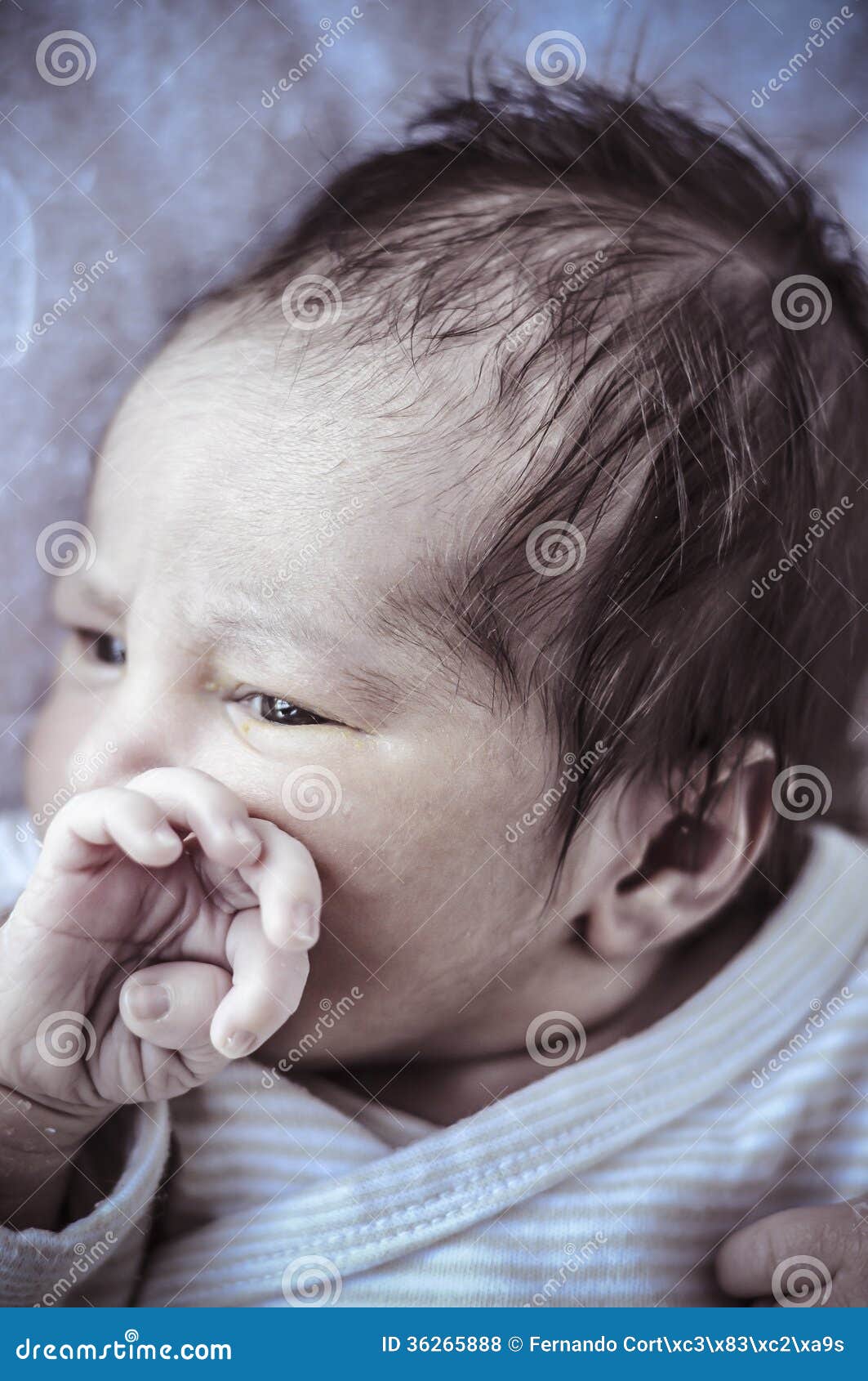 New Born Baby Curled Up Sleeping on a Blanket, Multiple Expressions ...