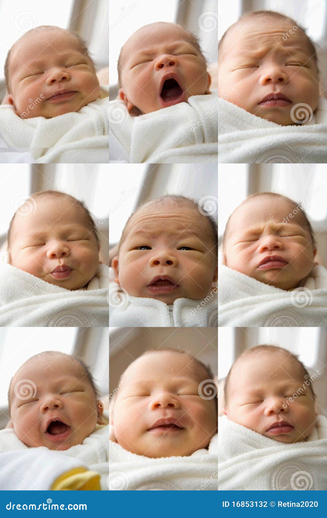New Born Baby Faces stock photo. Image of onesie, babies - 16853132