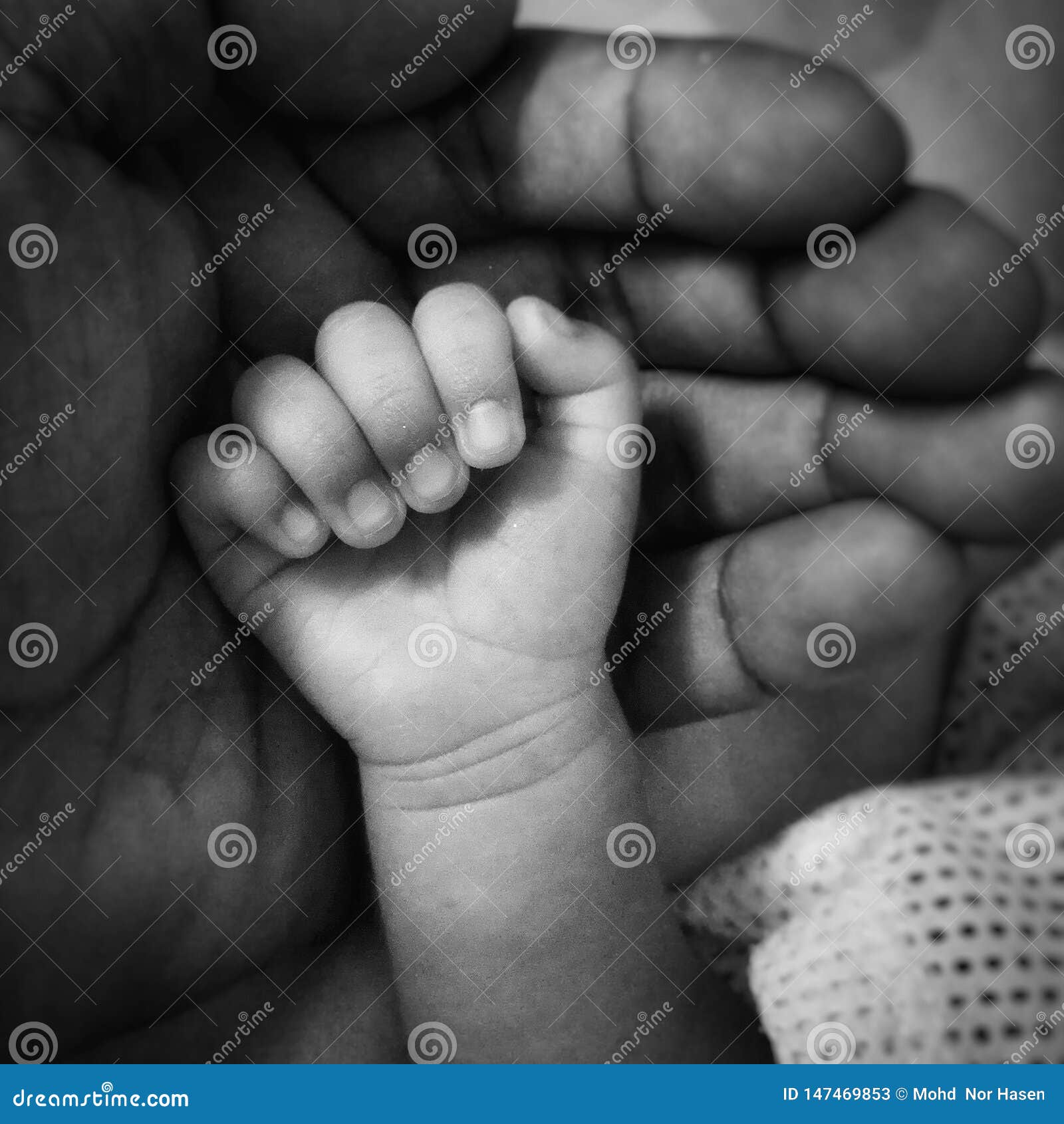 New Born Baby Hand Beautiful Stock Image - Image of born, beautiful ...