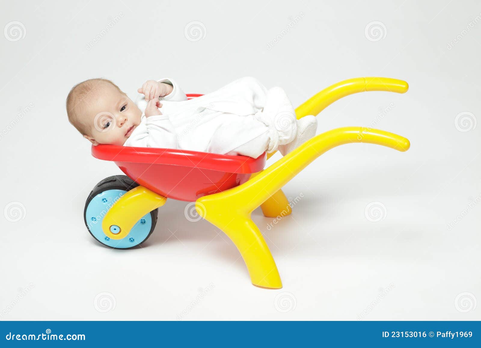 New Born Baby Lying in the Wheelbarrow Stock Photo - Image of cheetful ...