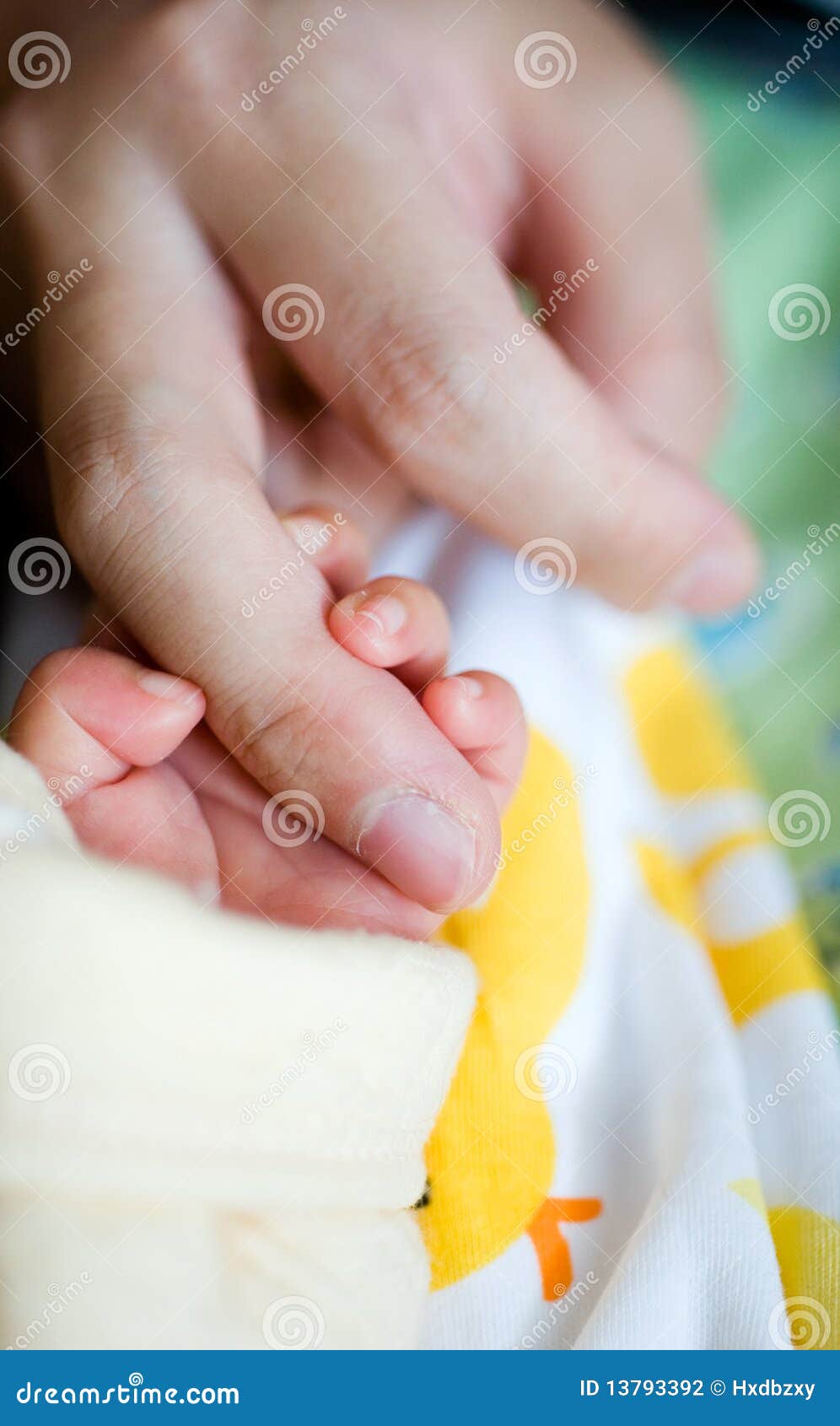 New born baby s hand stock photo. Image of future, care - 13793392
