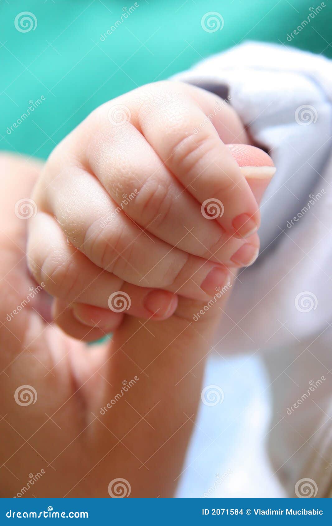 New born Baby s hand stock photo. Image of birth, grab - 2071584