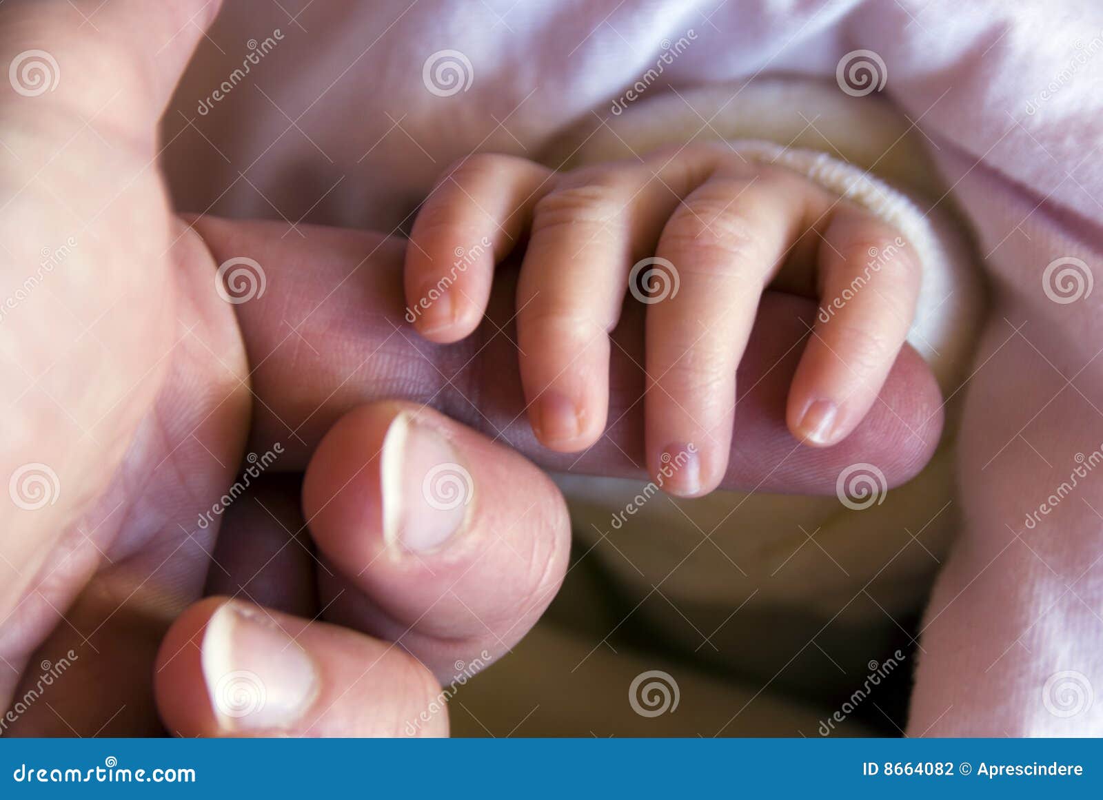 New born baby s hand stock photo. Image of hand, family - 8664082