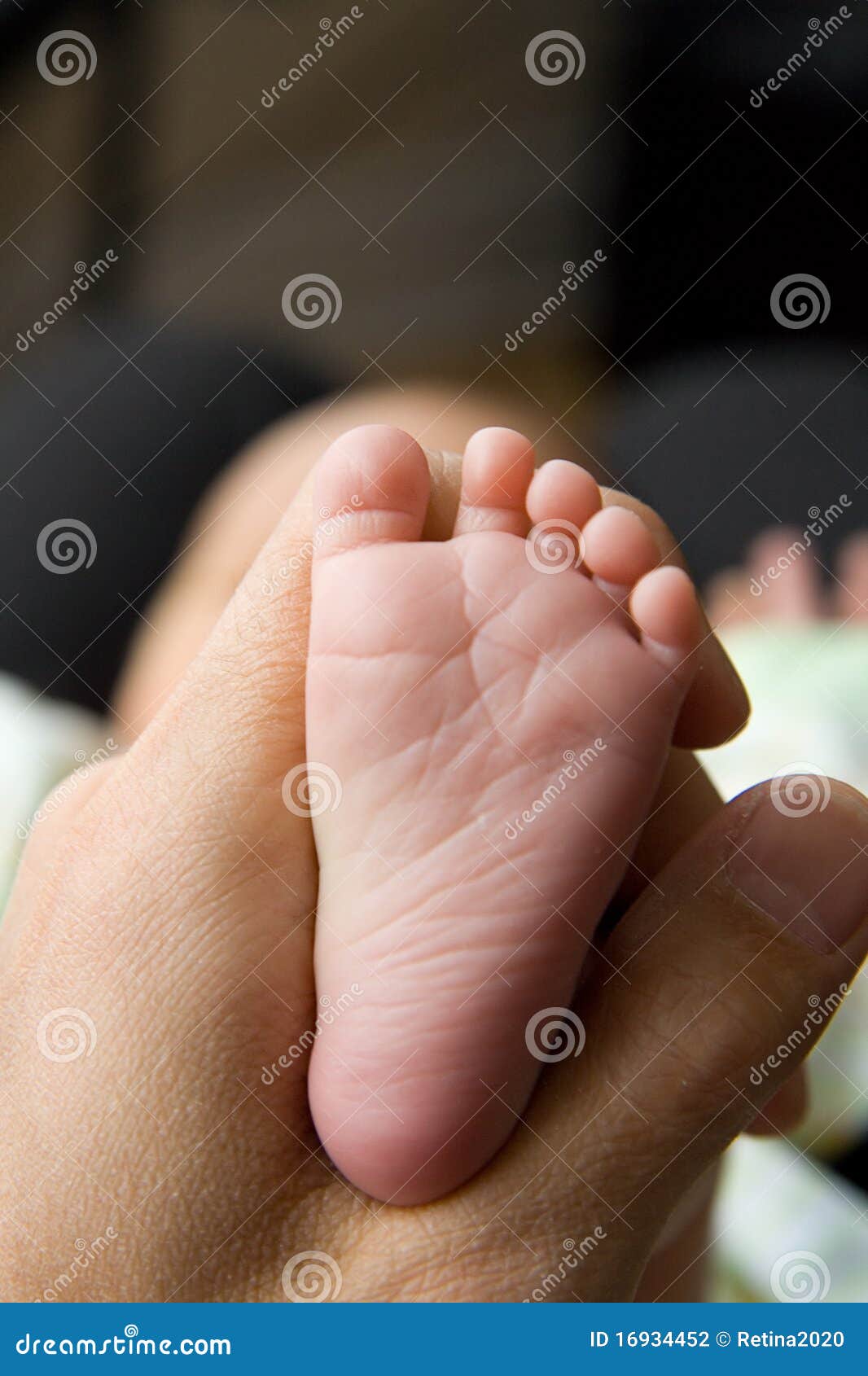 New Born Baby Toes and Feet Stock Photo - Image of thumb, born: 16934452