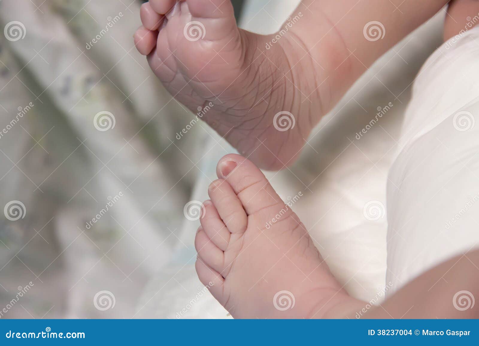 New born feet stock photo. Image of caucasian, nature - 38237004