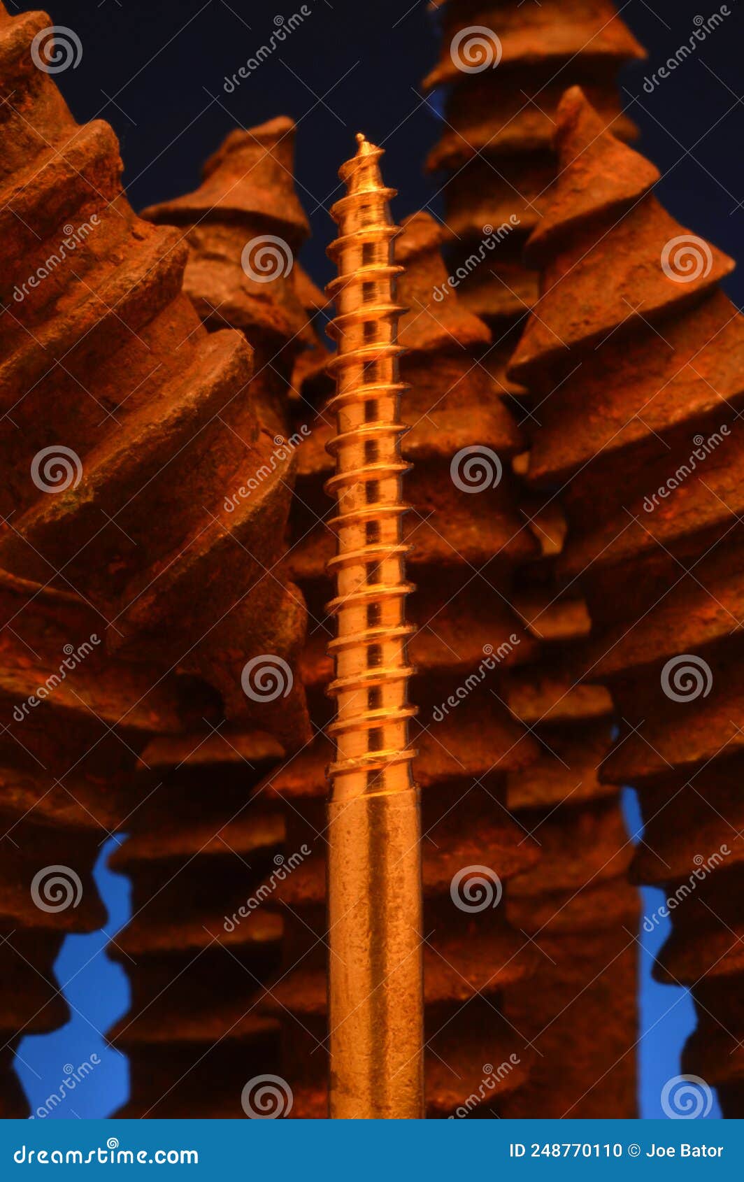 New Brass Screws Contrasting with Old Rusty Screws Stock Photo - Image ...