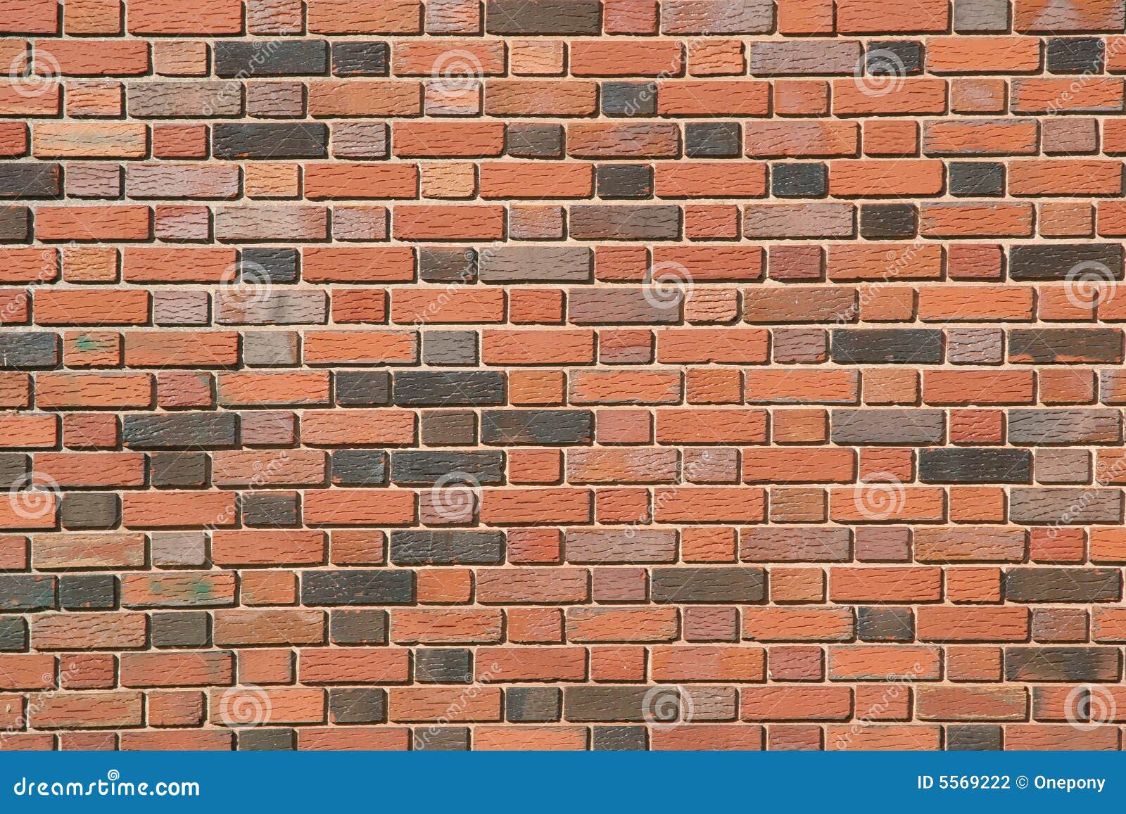 New Brick stock photo. Image of background, construct - 5569222