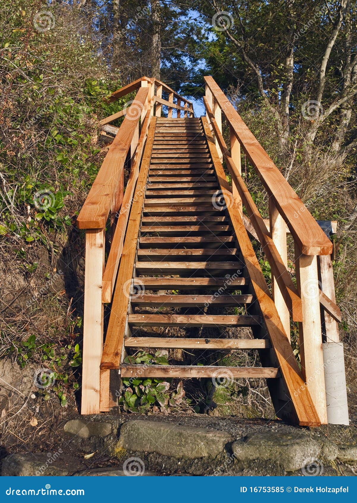 New Cedar Trail Stairs stock image. Image of steep, area - 16753585