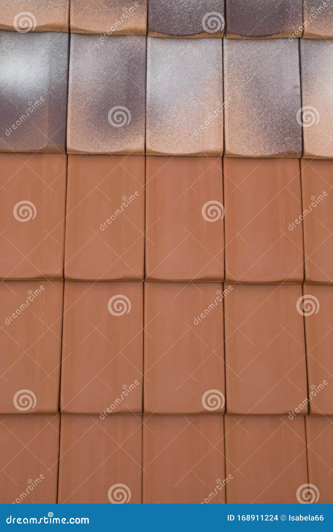 New Ceramic Tiles Samples in Store Stock Photo - Image of colorful ...