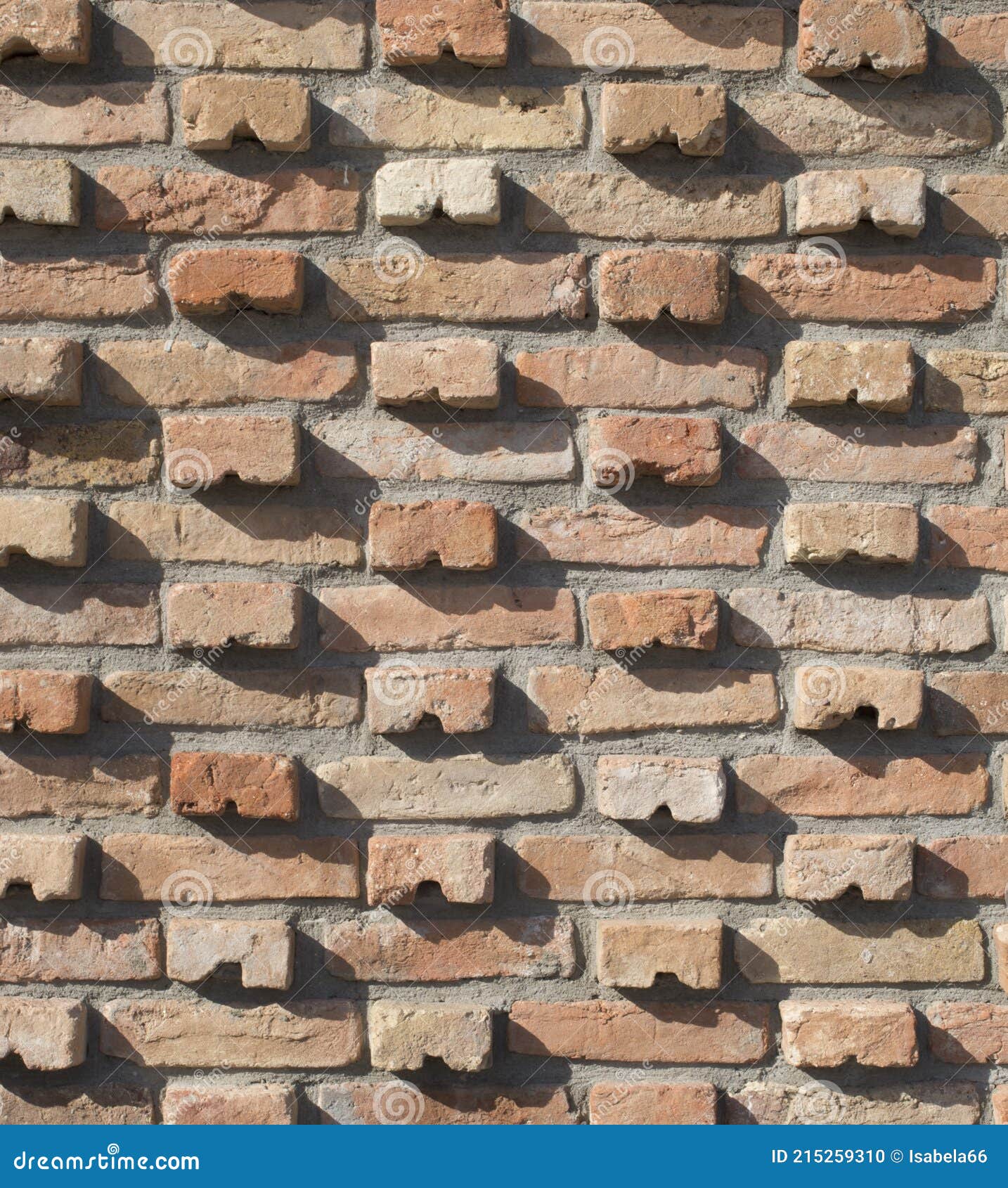 New Colorful Decorative Bricks Wall Closeup Stock Photo - Image of wall ...