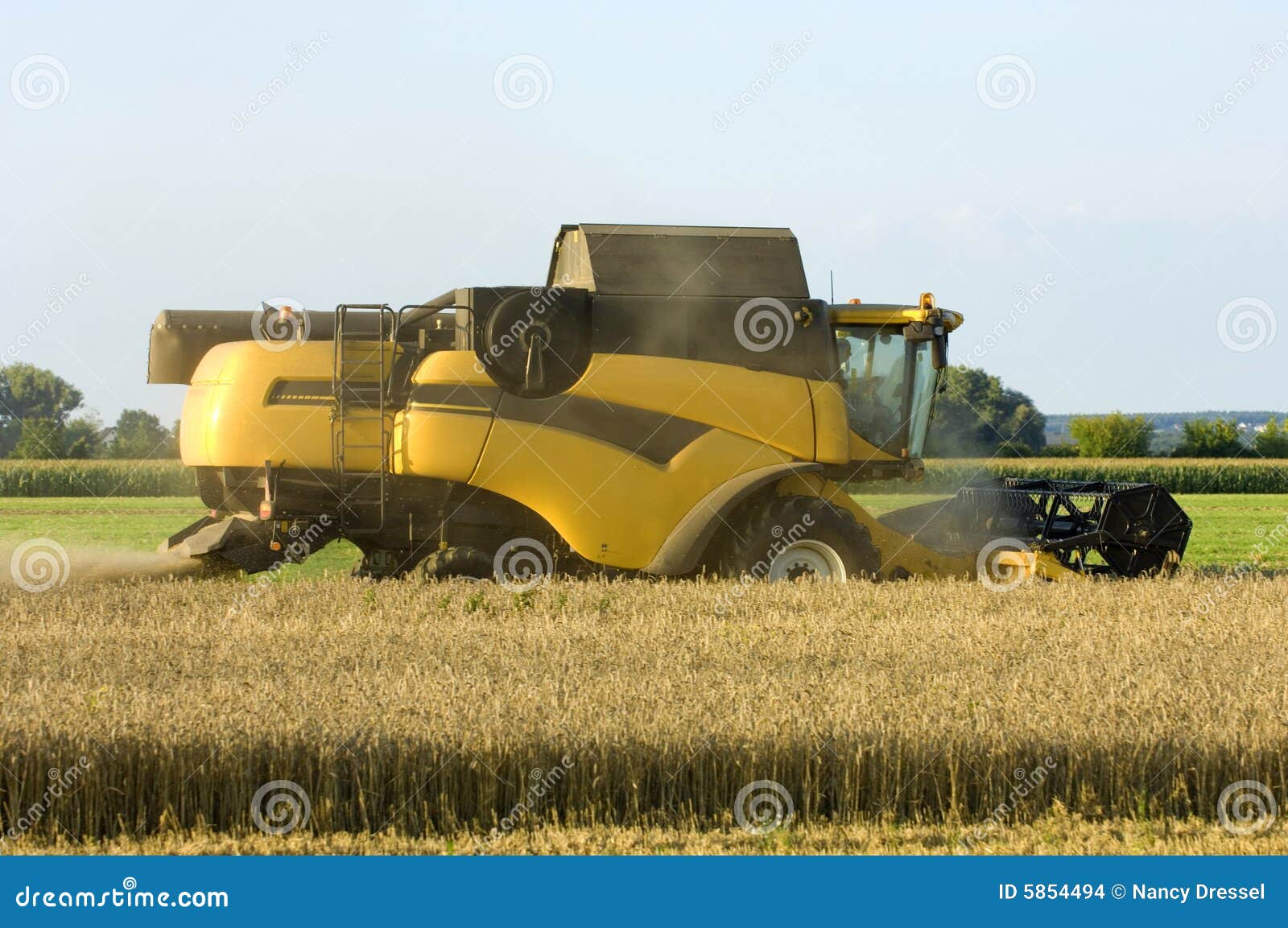New Combine harvester stock photo. Image of bread, agriculture - 5854494