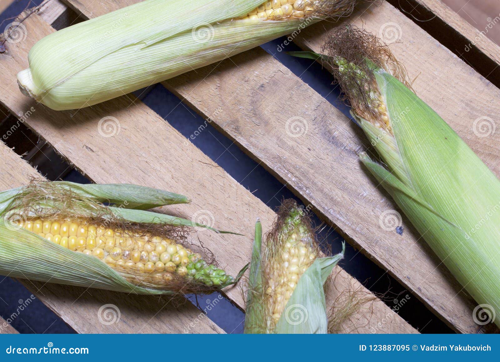 A New Crop. Corn Cobs Lie on a Wooden Box. Stock Image - Image of ...