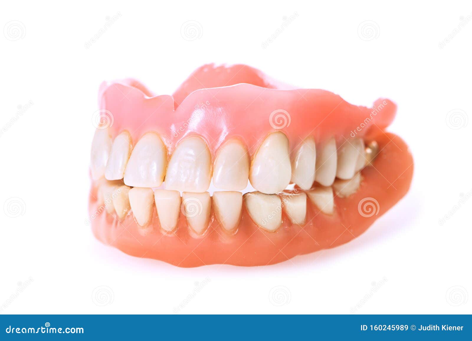 Dental Dentures on White Background Stock Image - Image of dental ...
