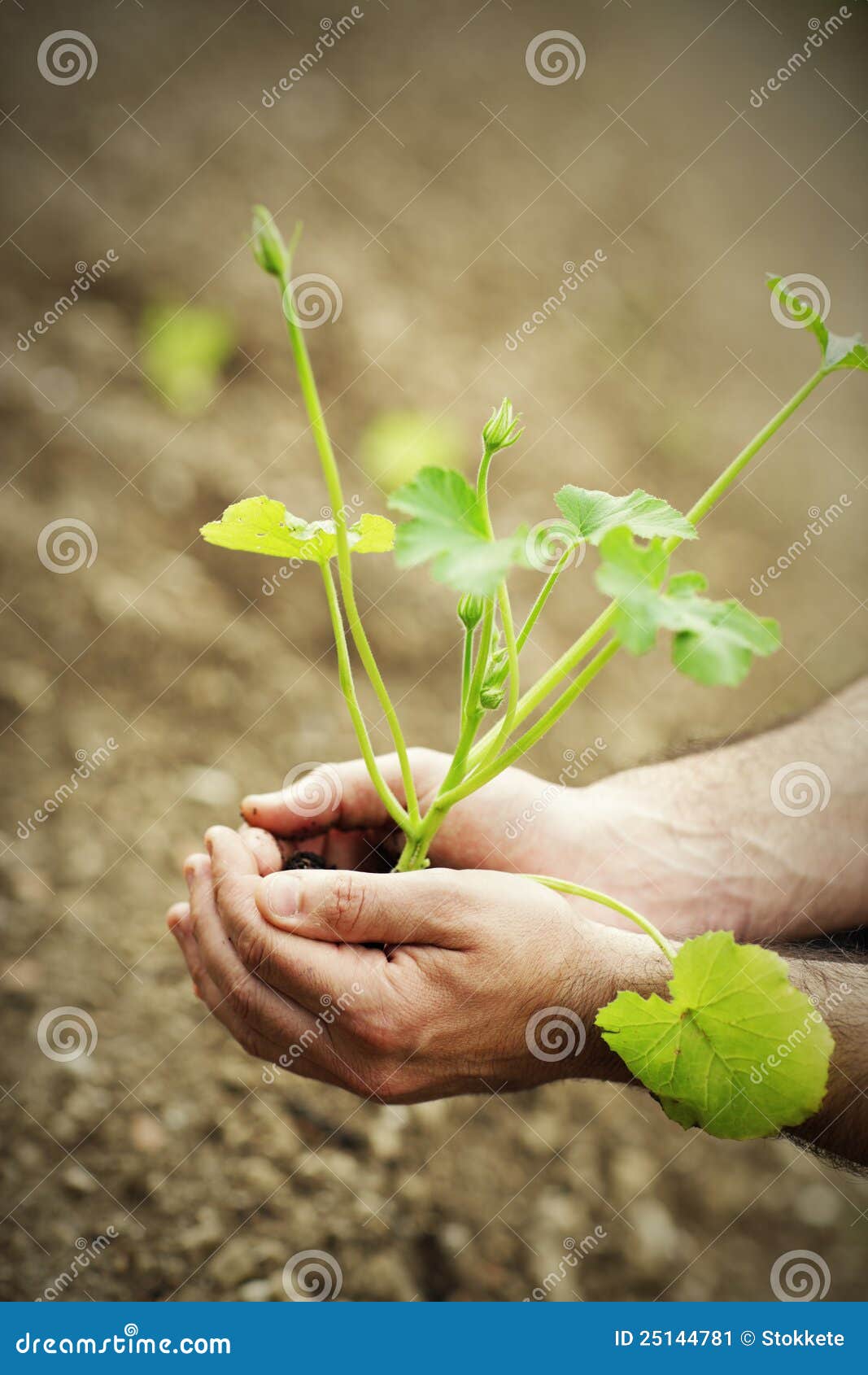 New Development stock image. Image of selective, open - 25144781