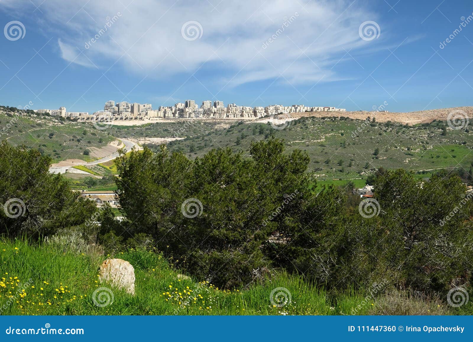 New Districts of the City of Beit Shemesh Stock Photo - Image of road ...