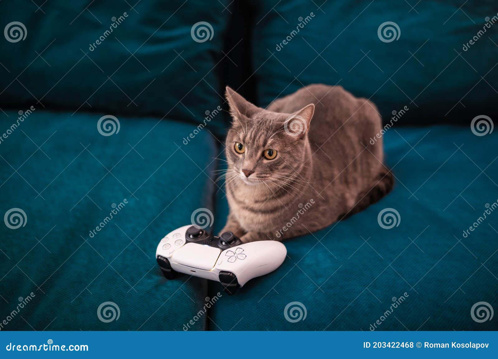 New DualSense Controller for Ps5 with Immersive Haptic Feedback and ...