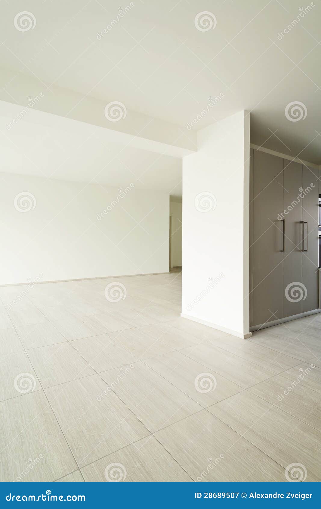 New empty apartment stock image. Image of perspective - 28689507