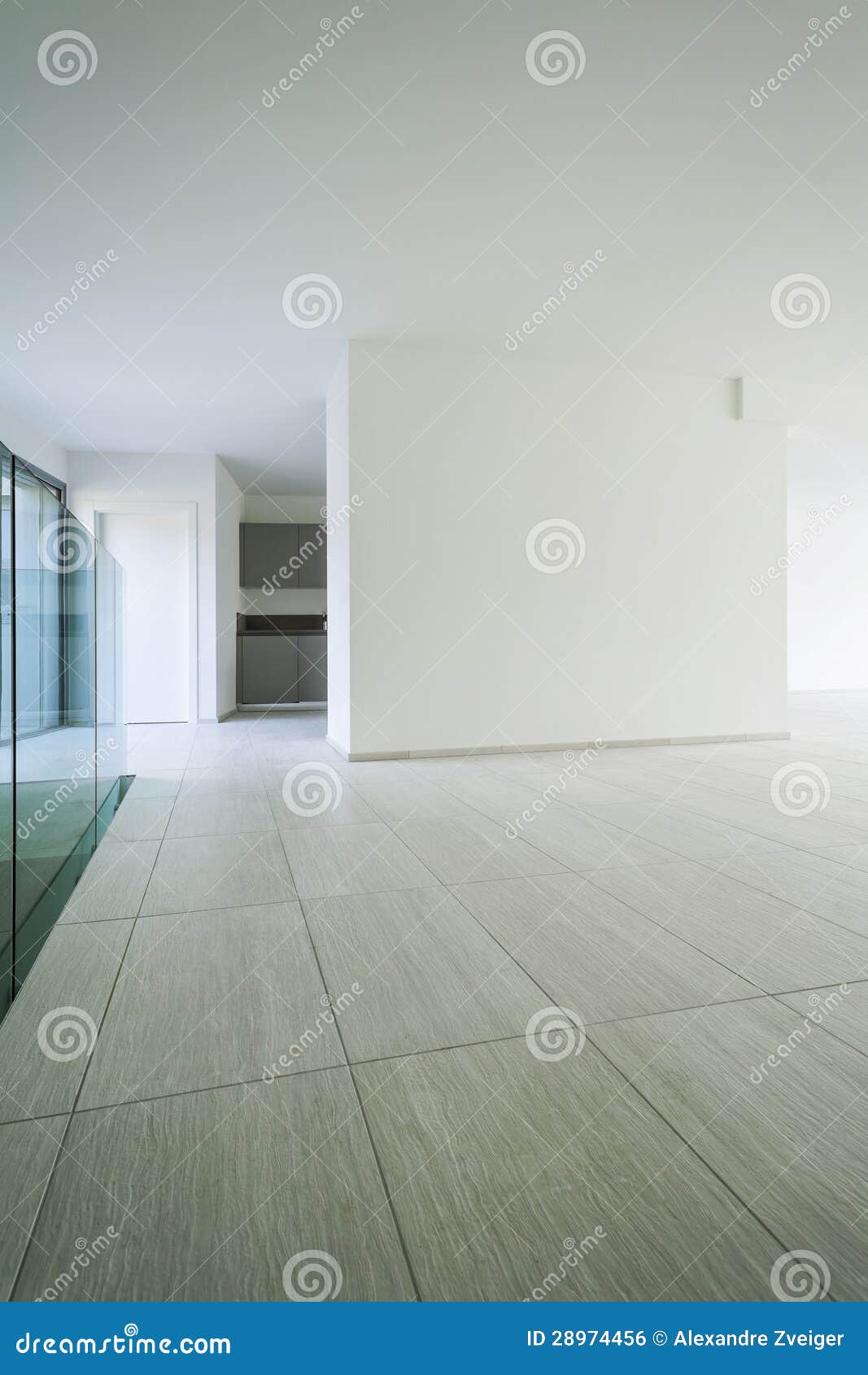 New empty apartment stock photo. Image of floor, interior - 28974456