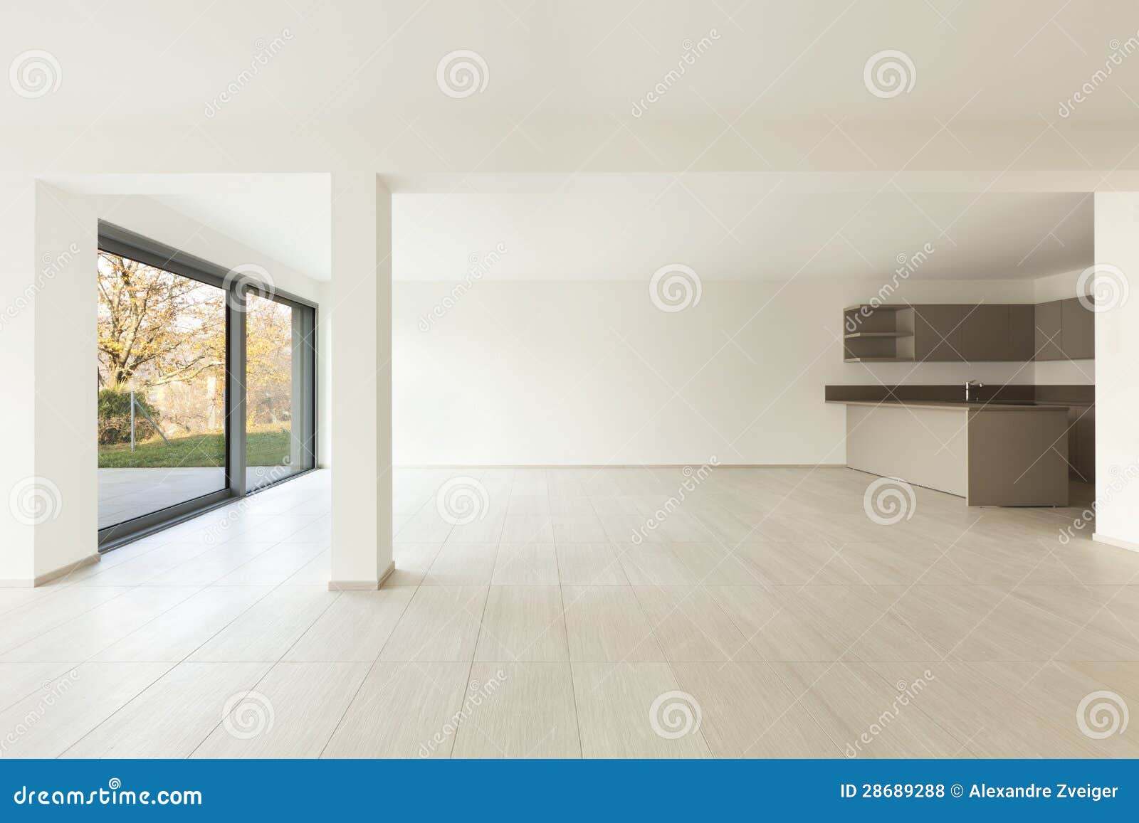 New Empty Apartment, Wide Room Stock Photo - Image of house, empty ...