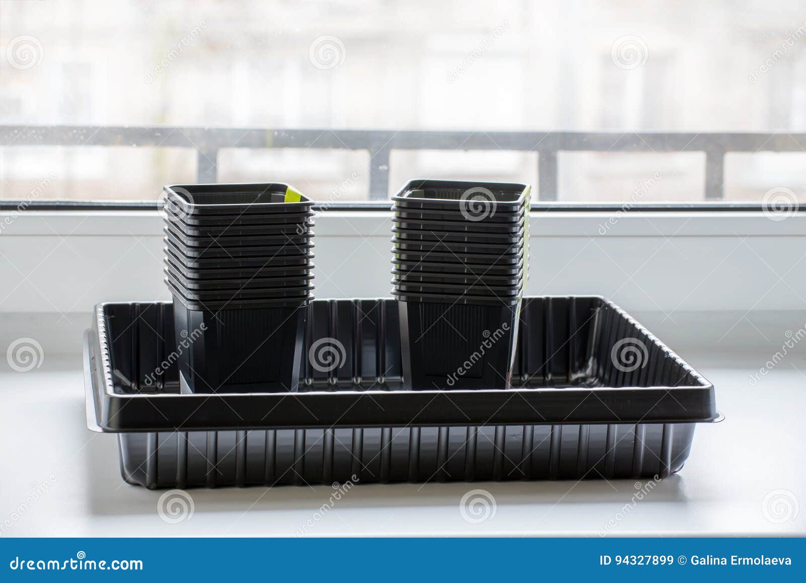 New Empty Plastic Containers for Seedlings on the Windowsill Stock ...