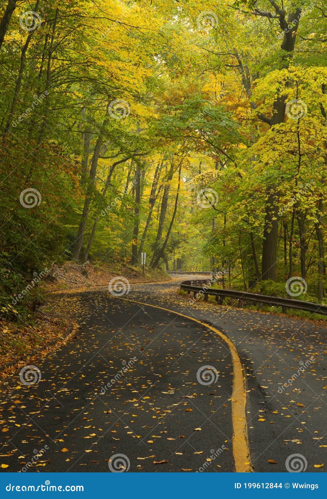New England Road in Autumn Color Stock Photo - Image of park, england ...