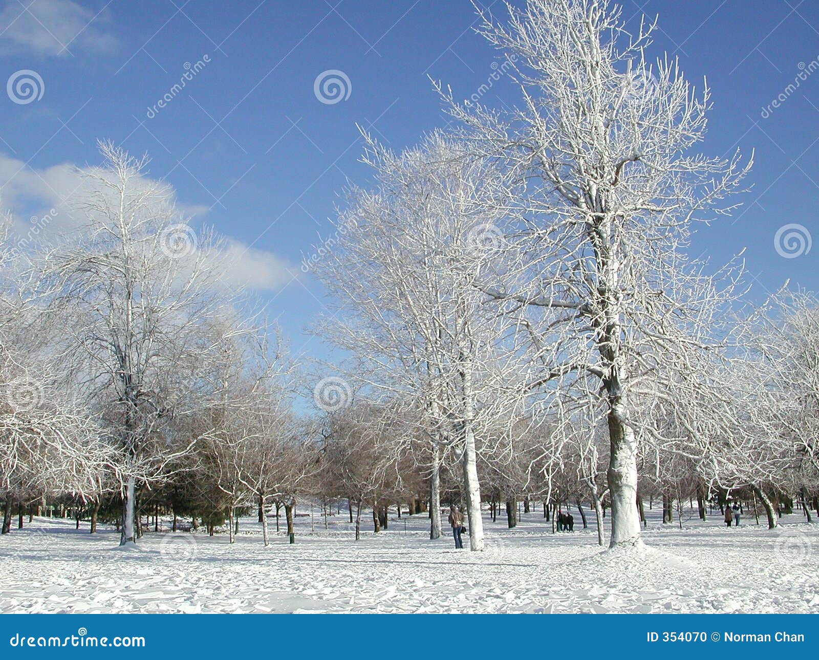 New fallen snow stock photo. Image of frozen, outdoors - 354070