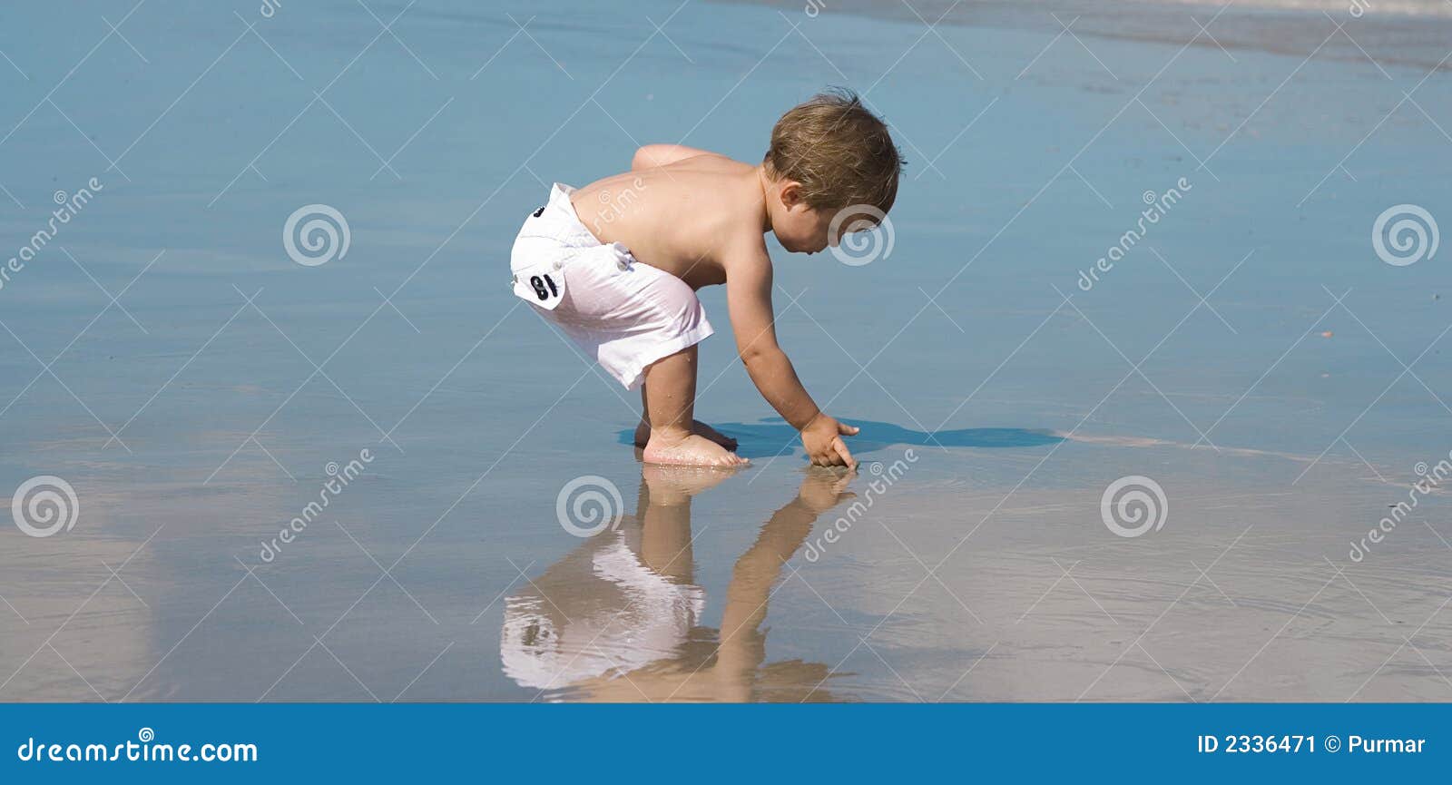 New findings stock image. Image of water, resting, surf - 2336471