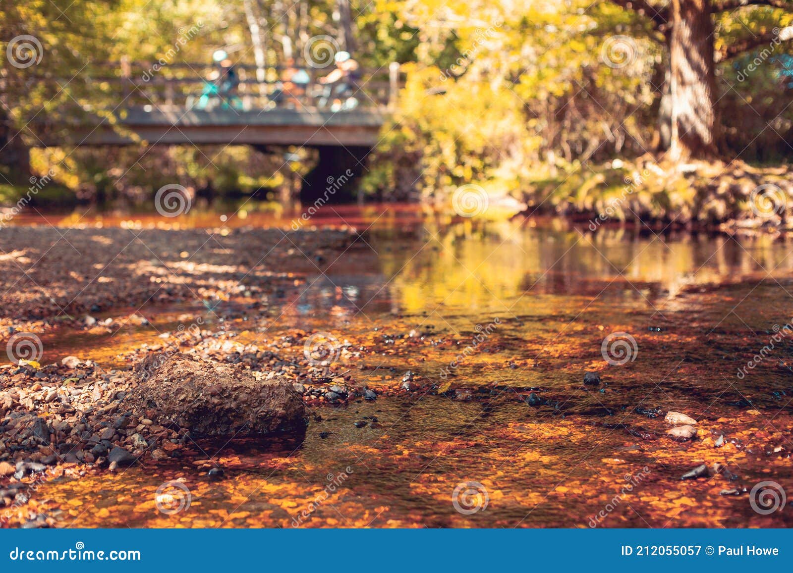 New Forest River Going Under a Bridge Stock Image - Image of climate ...