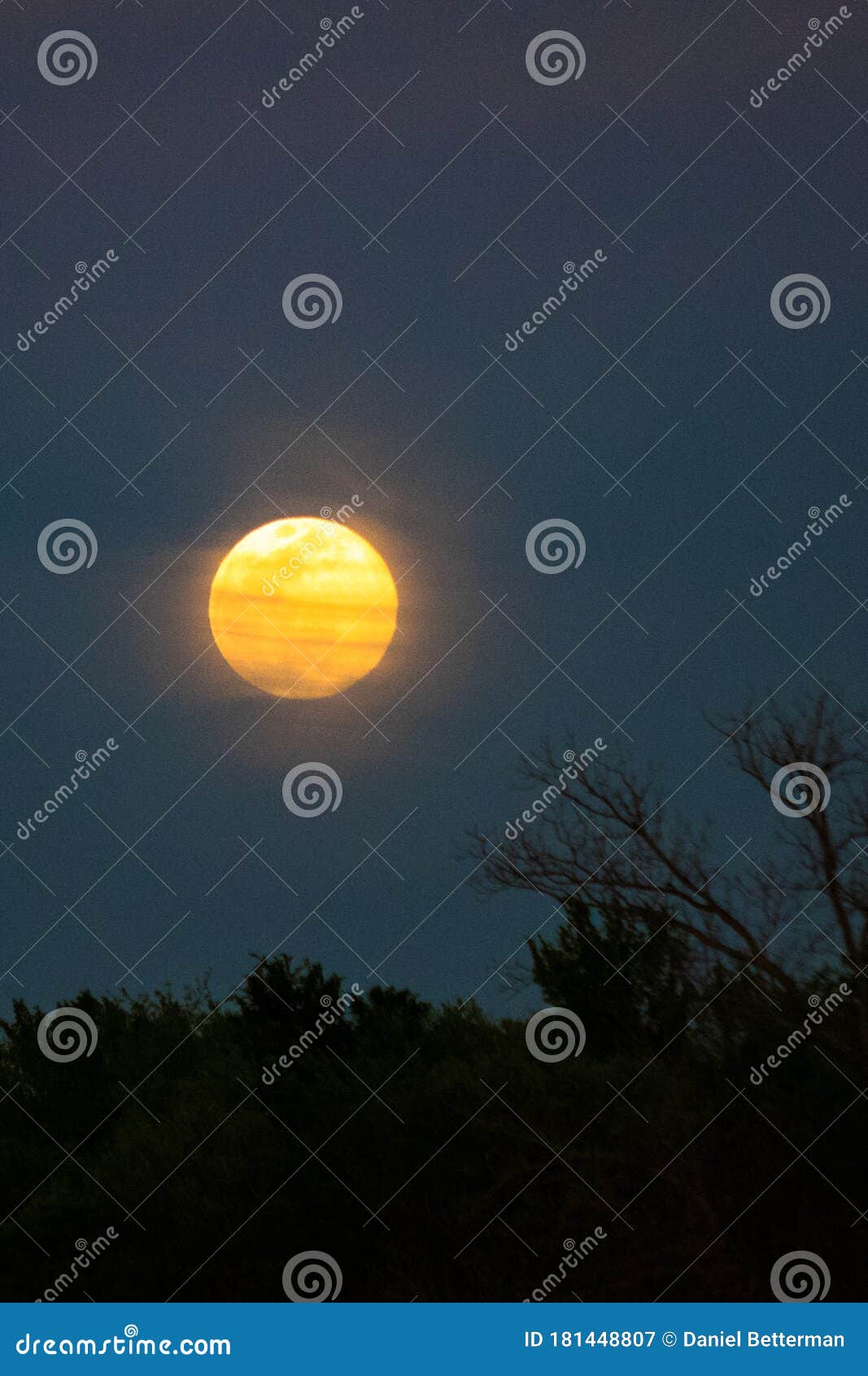 New Full Moon Brightly Shining Stock Image - Image of inspirational ...