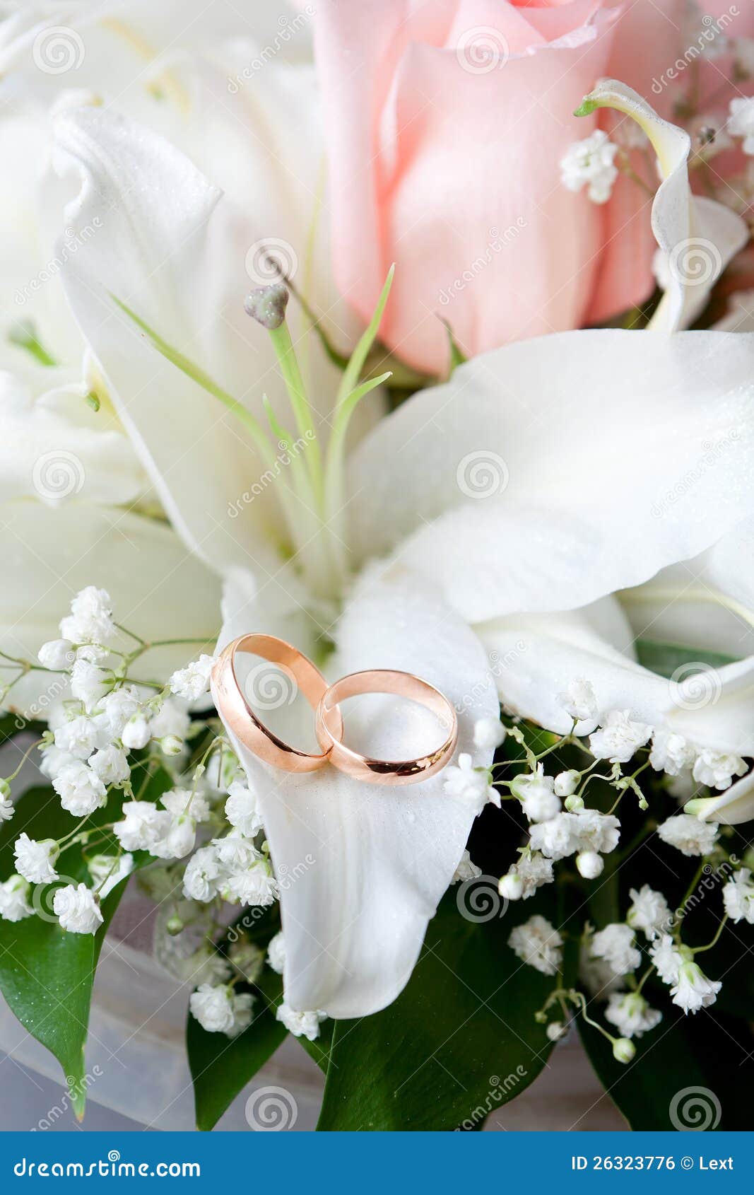 New Gold Wedding Rings on Flower Stock Photo - Image of leaf, romance ...