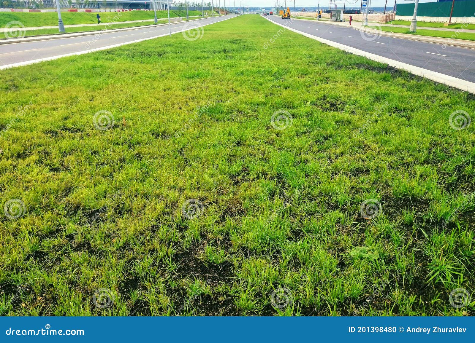 New Grass Along the Road Built, Planted Lawn Stock Photo - Image of ...