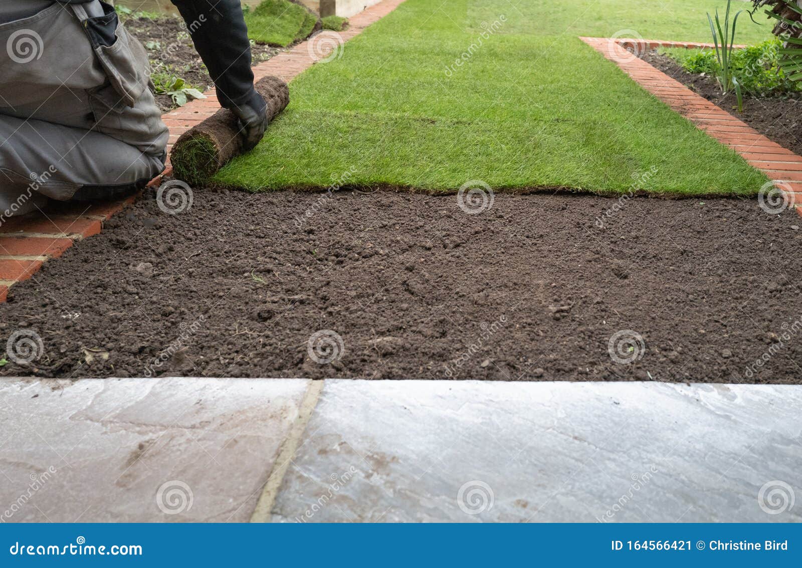 New Grass Turf Being Installed in a Garden Along New Brick Edging Stock ...