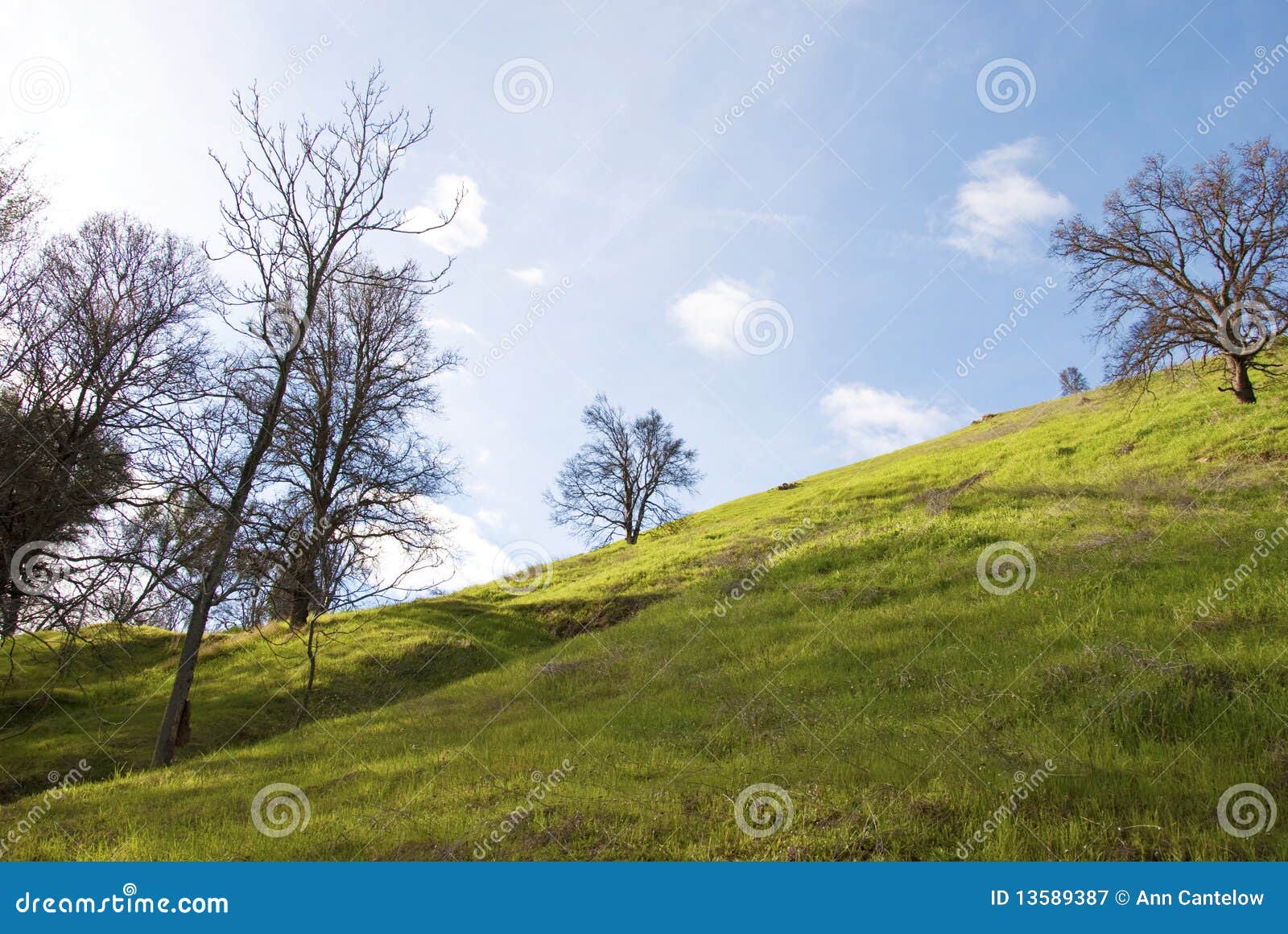 New Green Hillside in Spring Stock Image - Image of breezy, freedom ...
