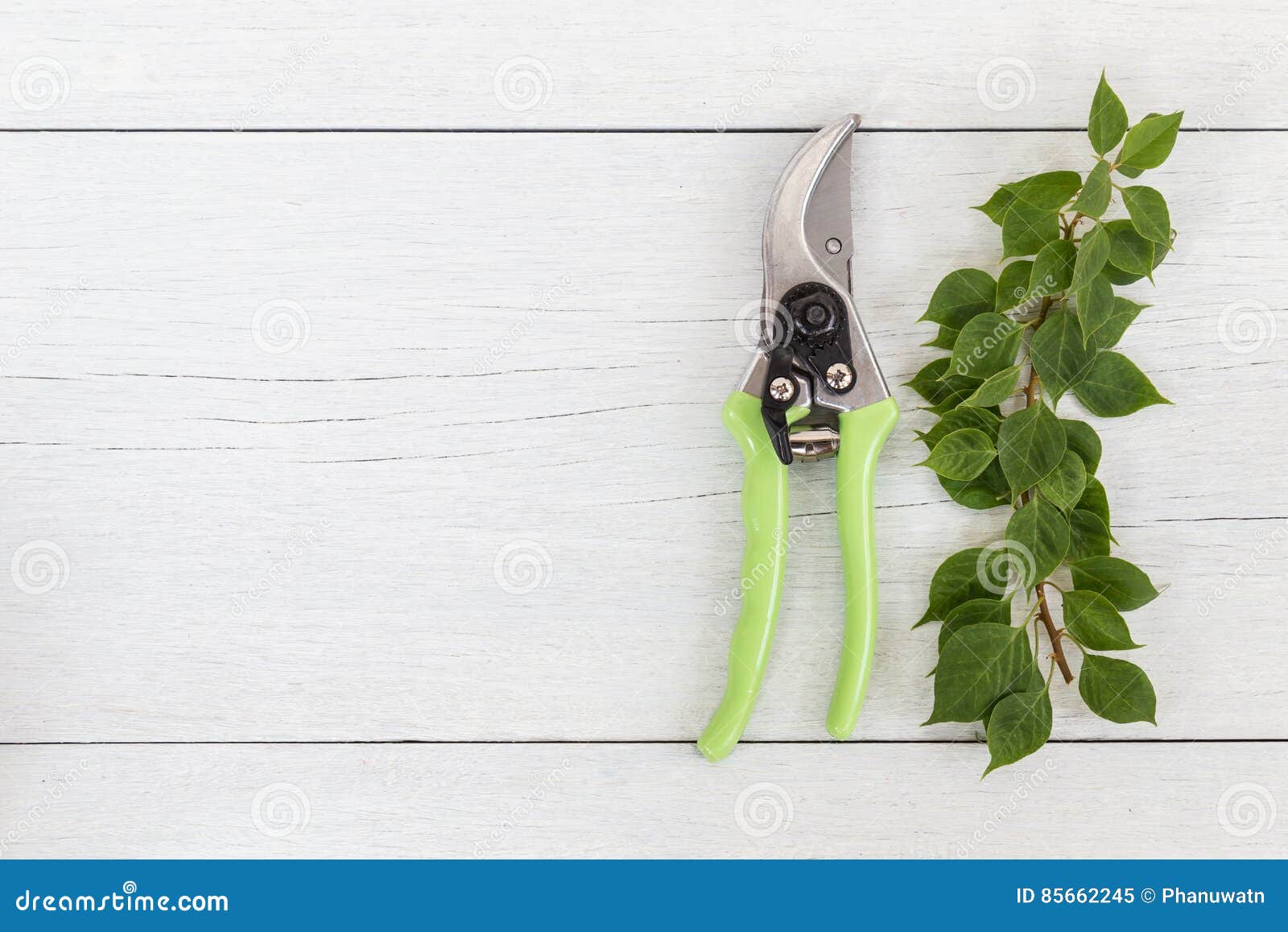 New Green Secateurs on White Wooden. Top View Stock Image - Image of ...
