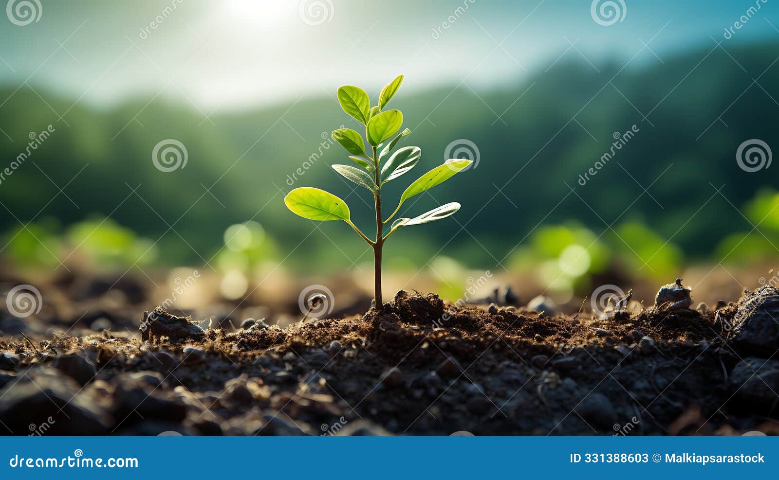 New Green Seedling is Sprouting Nurturing Tree Soil and Blurred Eco ...