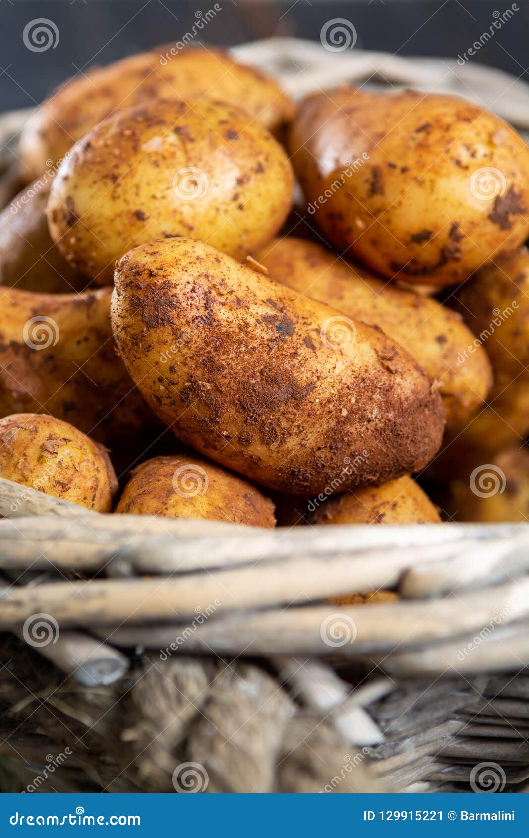 New Harvest Potatoes Not Washed with Soil on Table Stock Image - Image ...