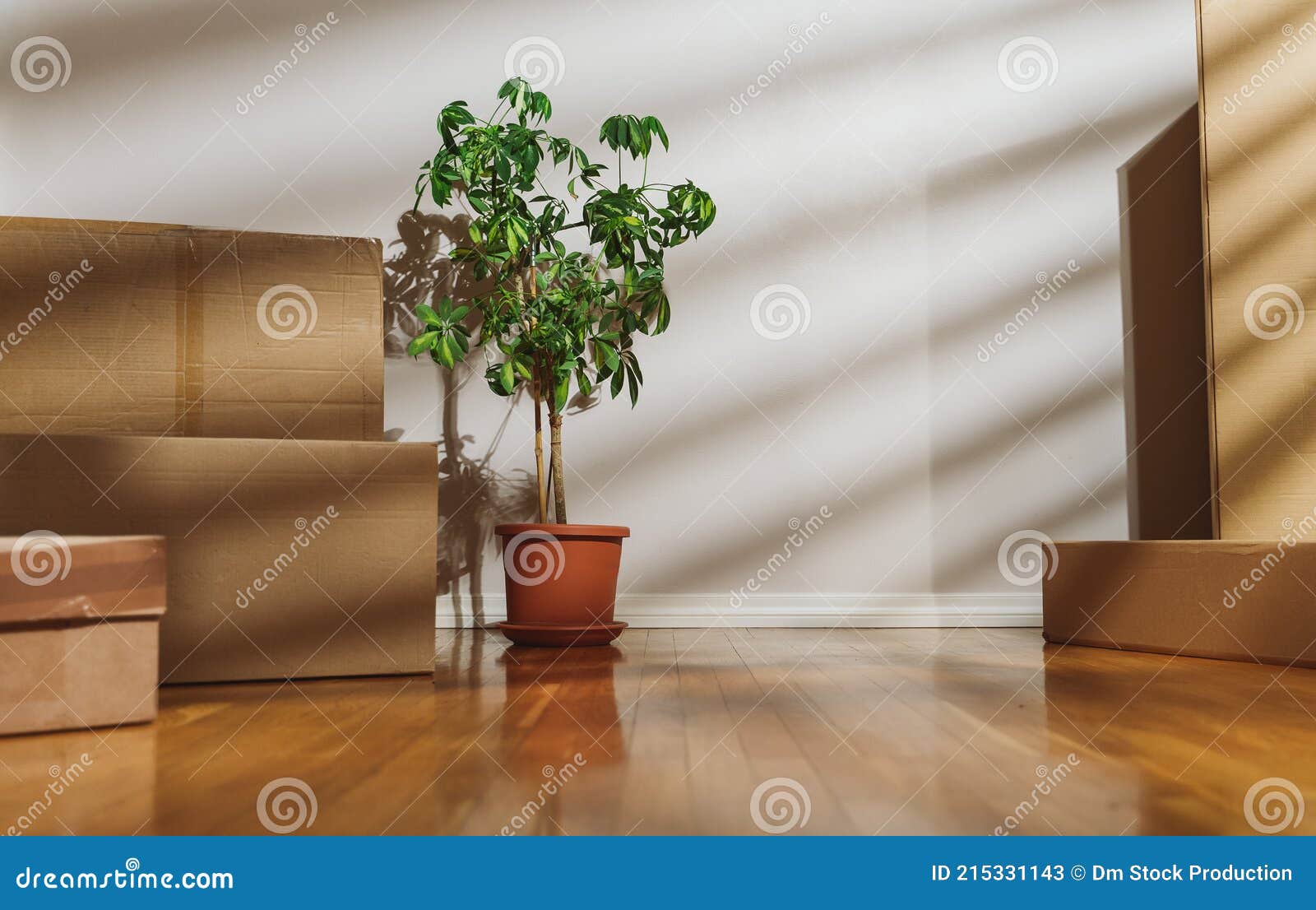 Boxes in empty room stock image. Image of carton, belongings - 215331143