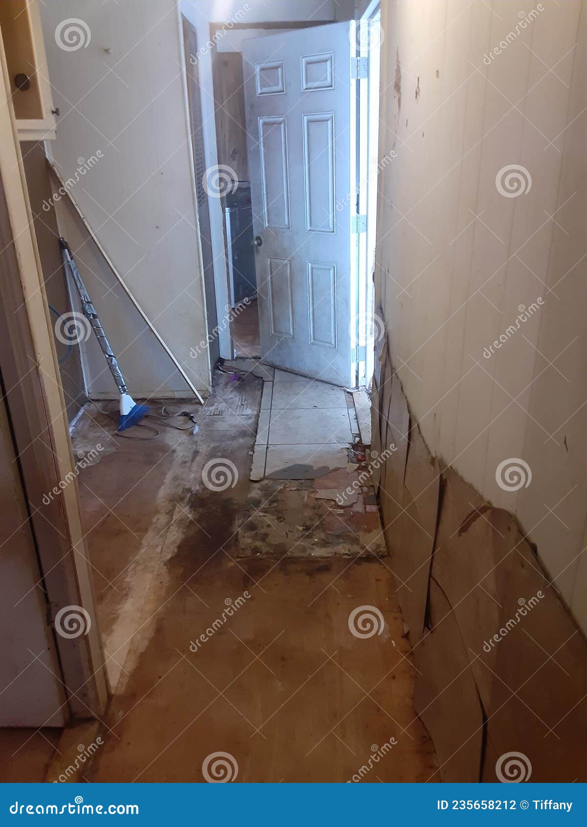 New House Repairs Being Done Stock Photo - Image of room, plaster ...