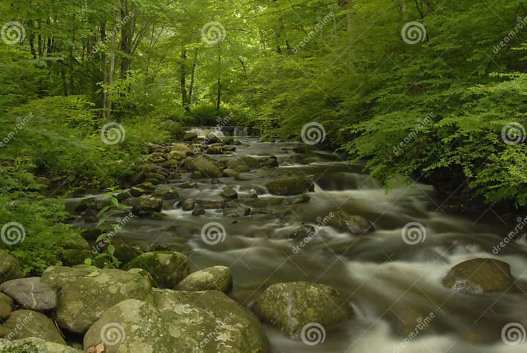 New Jersey Forest River stock photo. Image of destination - 9847184