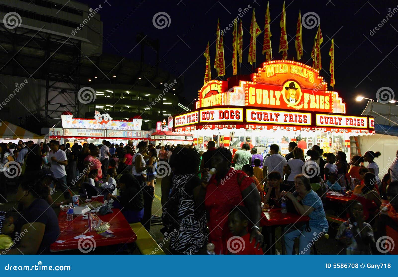 New Jersey State Fair editorial stock photo. Image of motion - 5586708