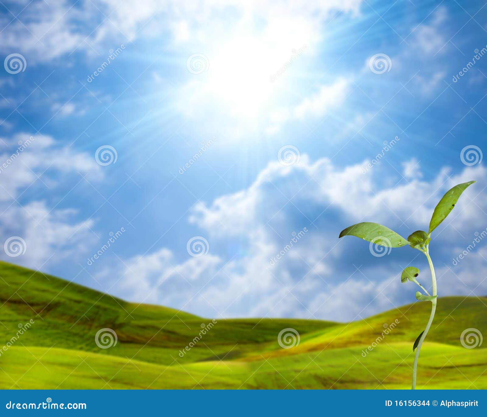 New life stock photo. Image of garden, soil, life, nature - 16156344