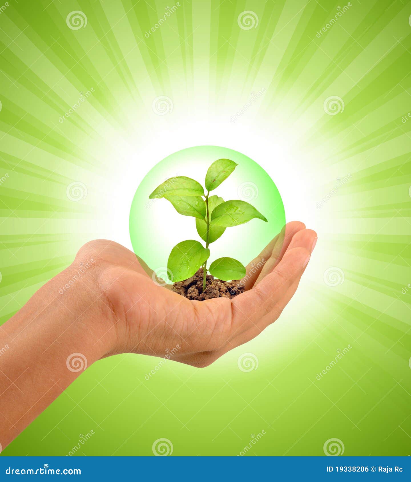 New life stock photo. Image of houseplant, abstract, colors - 19338206