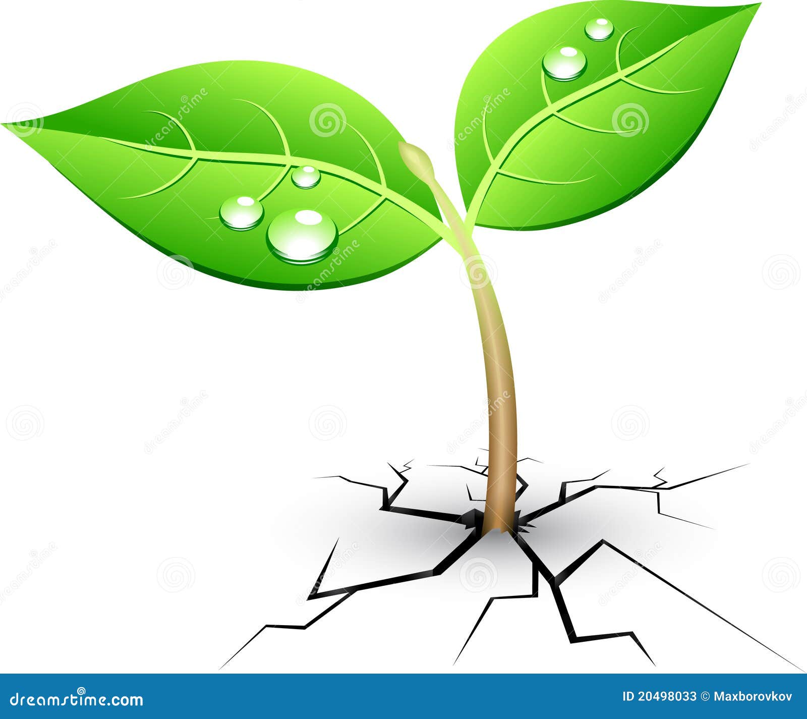 New life. stock vector. Illustration of grow, small, seed - 20498033